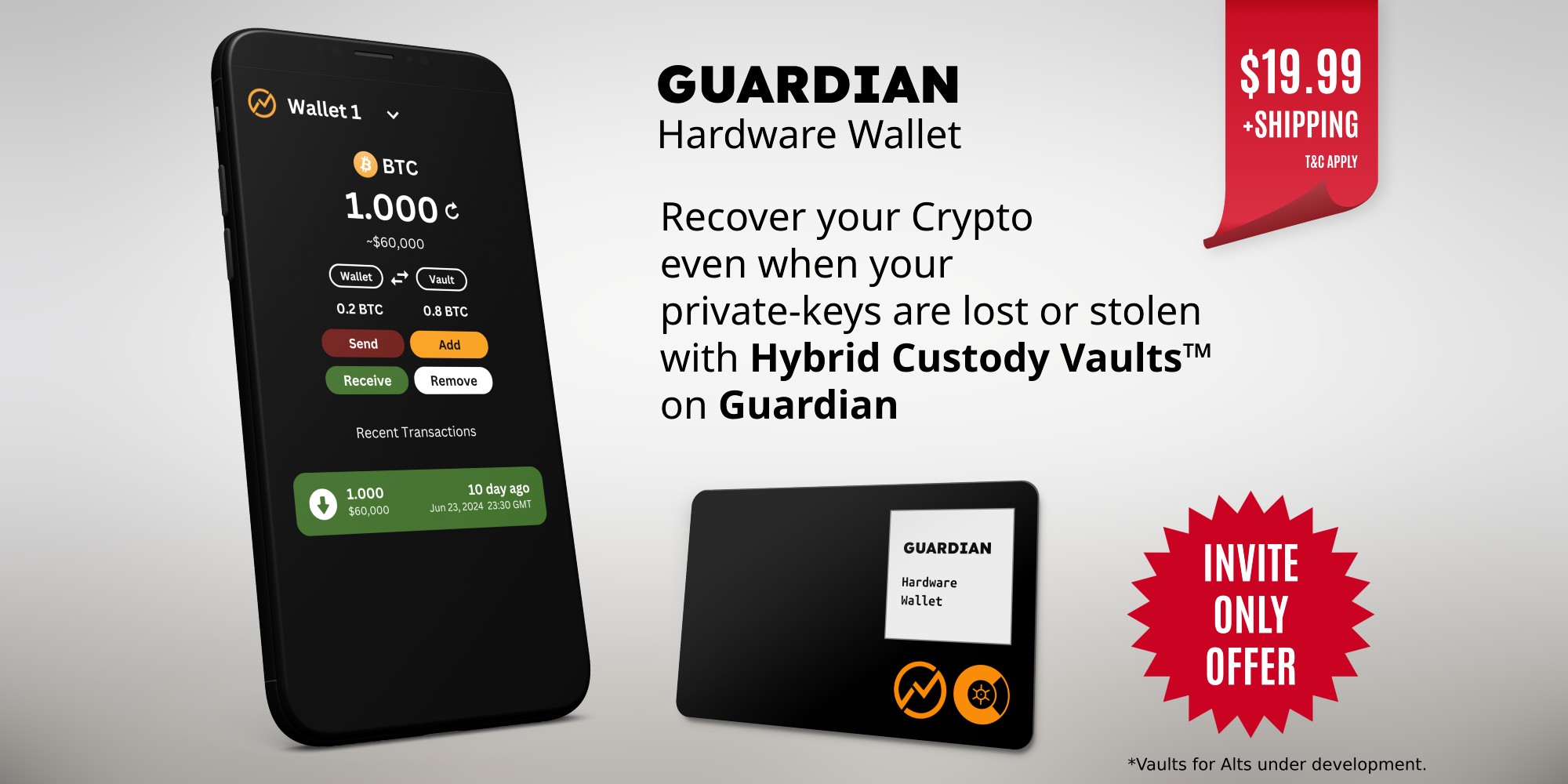 Guardian - The World's best Hardware Wallet at just $20
